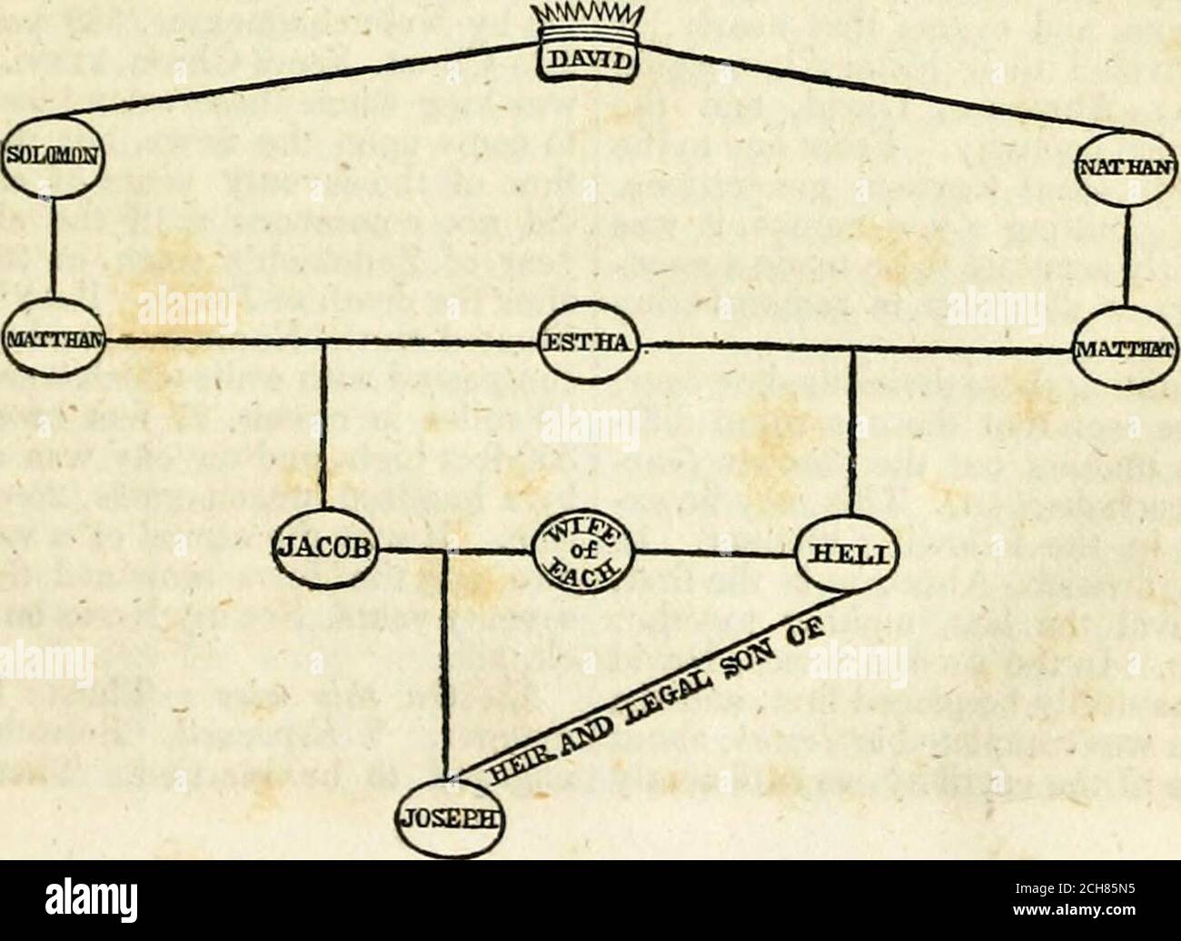 Family Tree Of David In The Bible Interesting Characters In Our Family