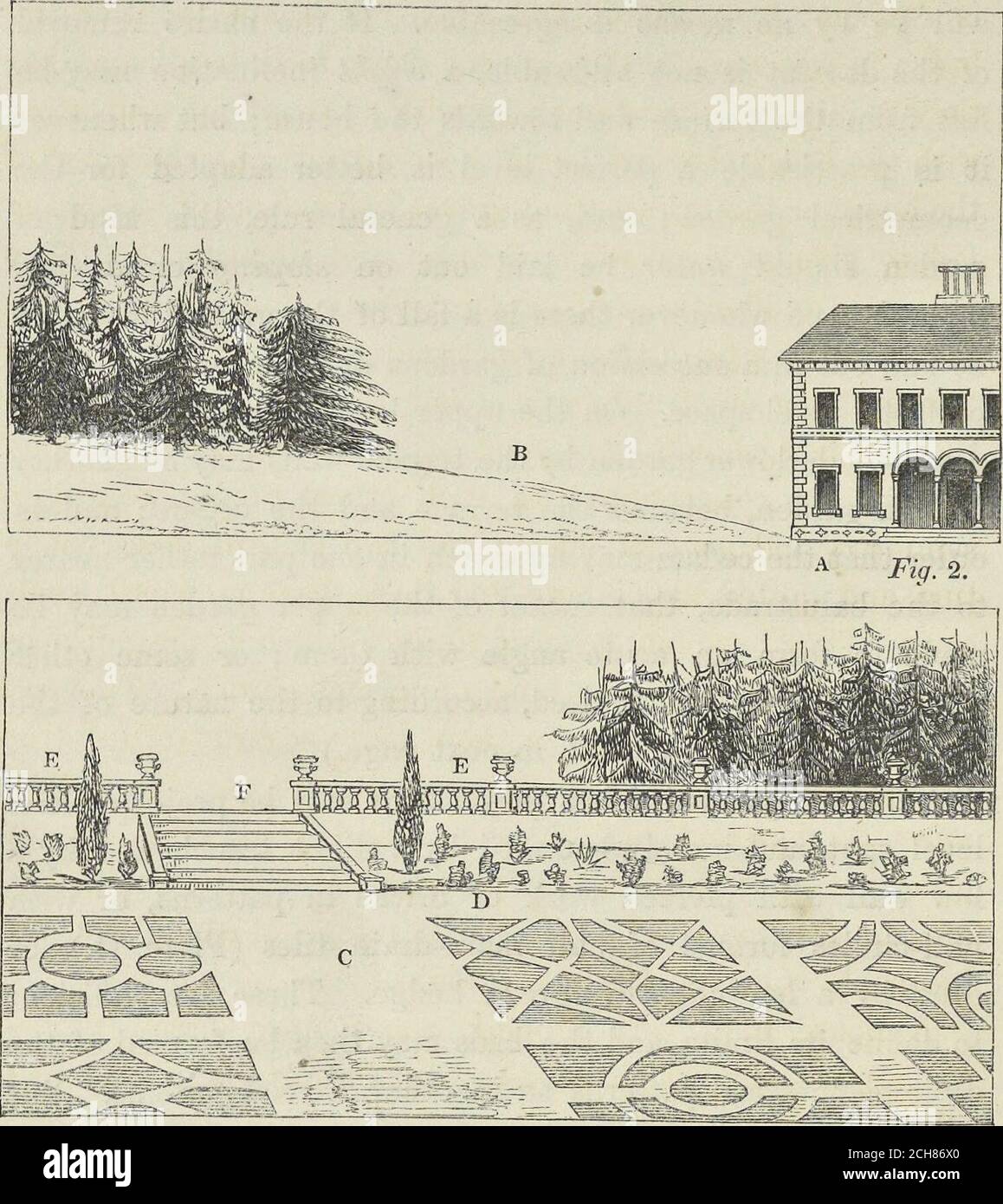 Define hedge hi-res stock photography and images - Alamy