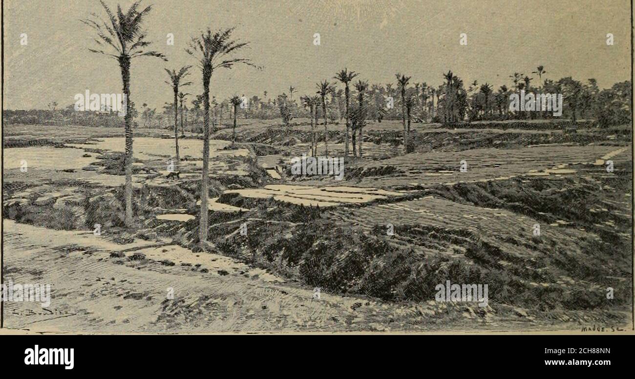 Lake Moeris Egypt High Resolution Stock Photography and Images - Alamy