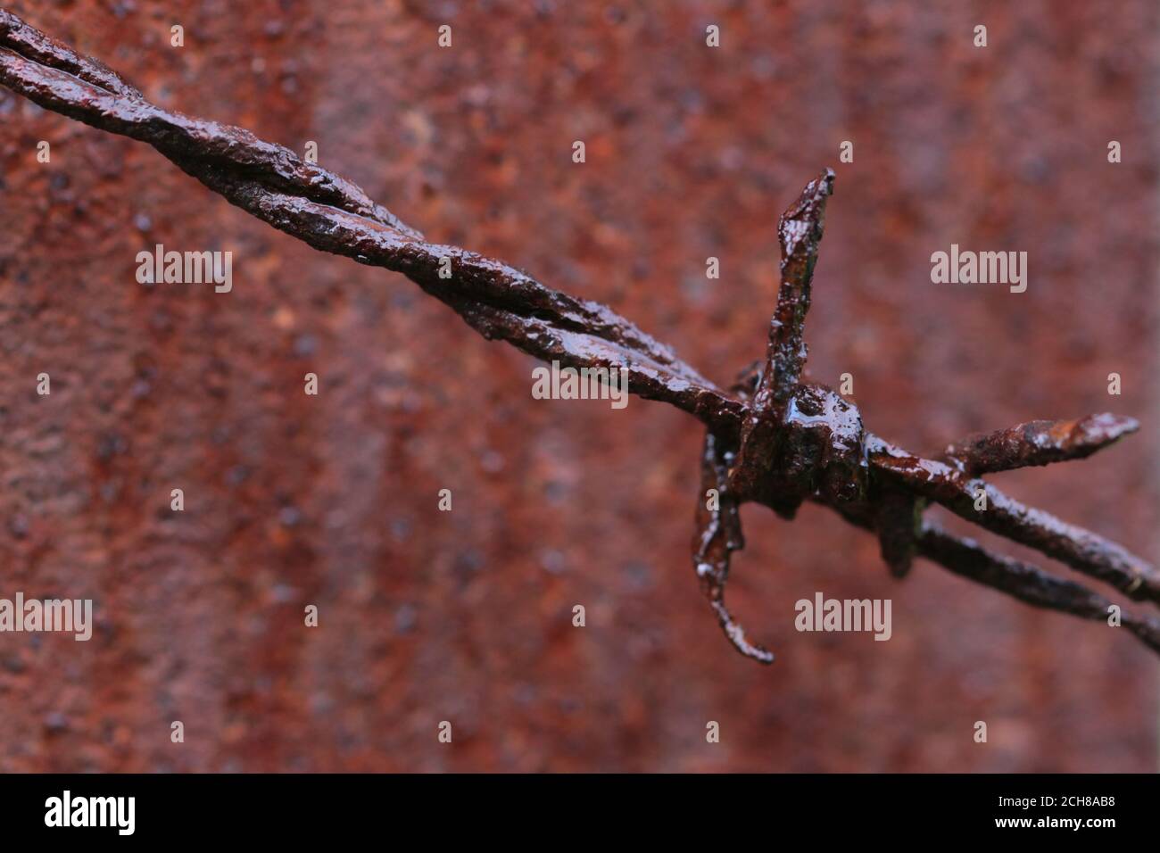 Single strand of wire hi-res stock photography and images - Alamy