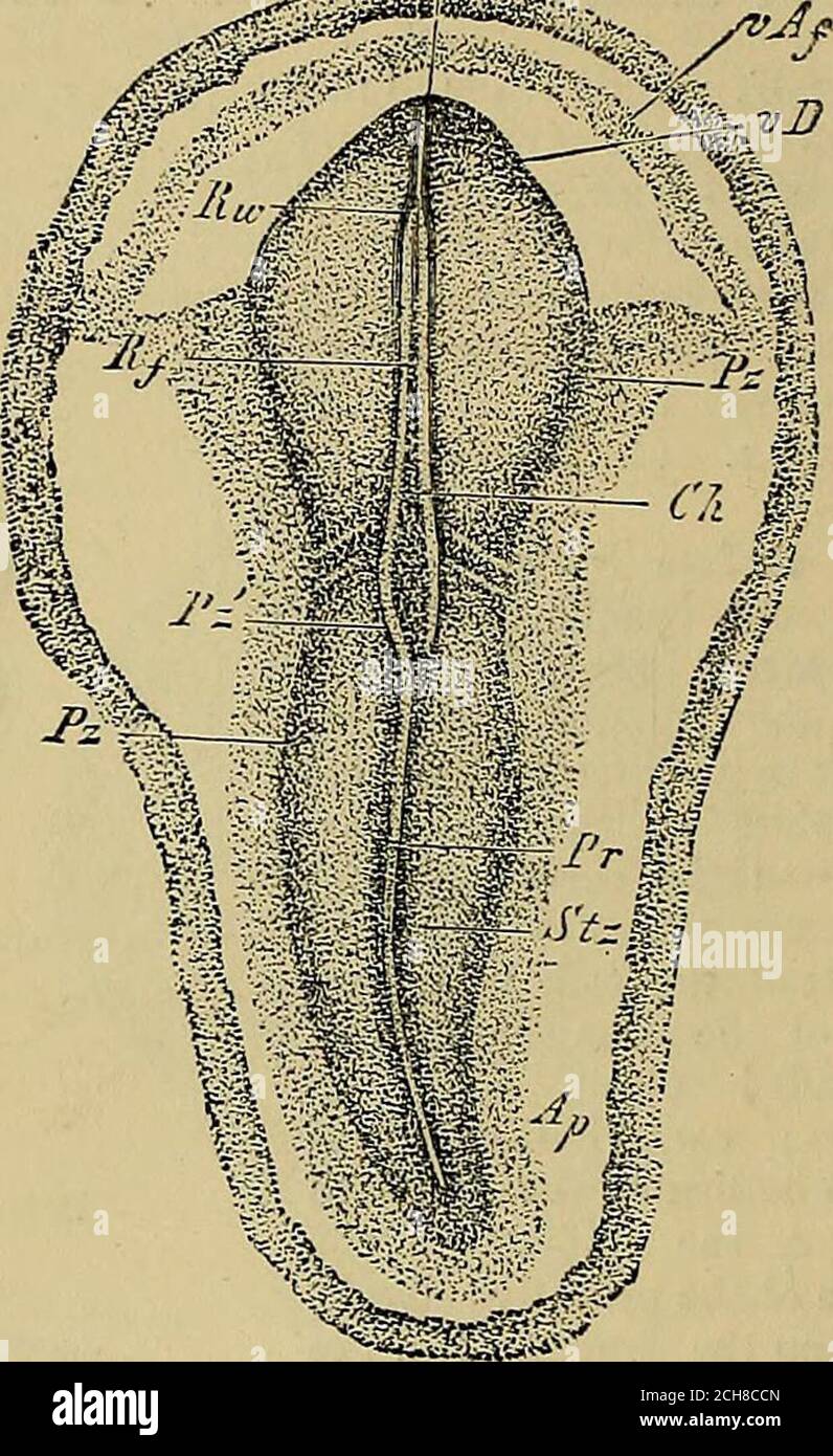 Diagrammatic elements hi-res stock photography and images - Alamy