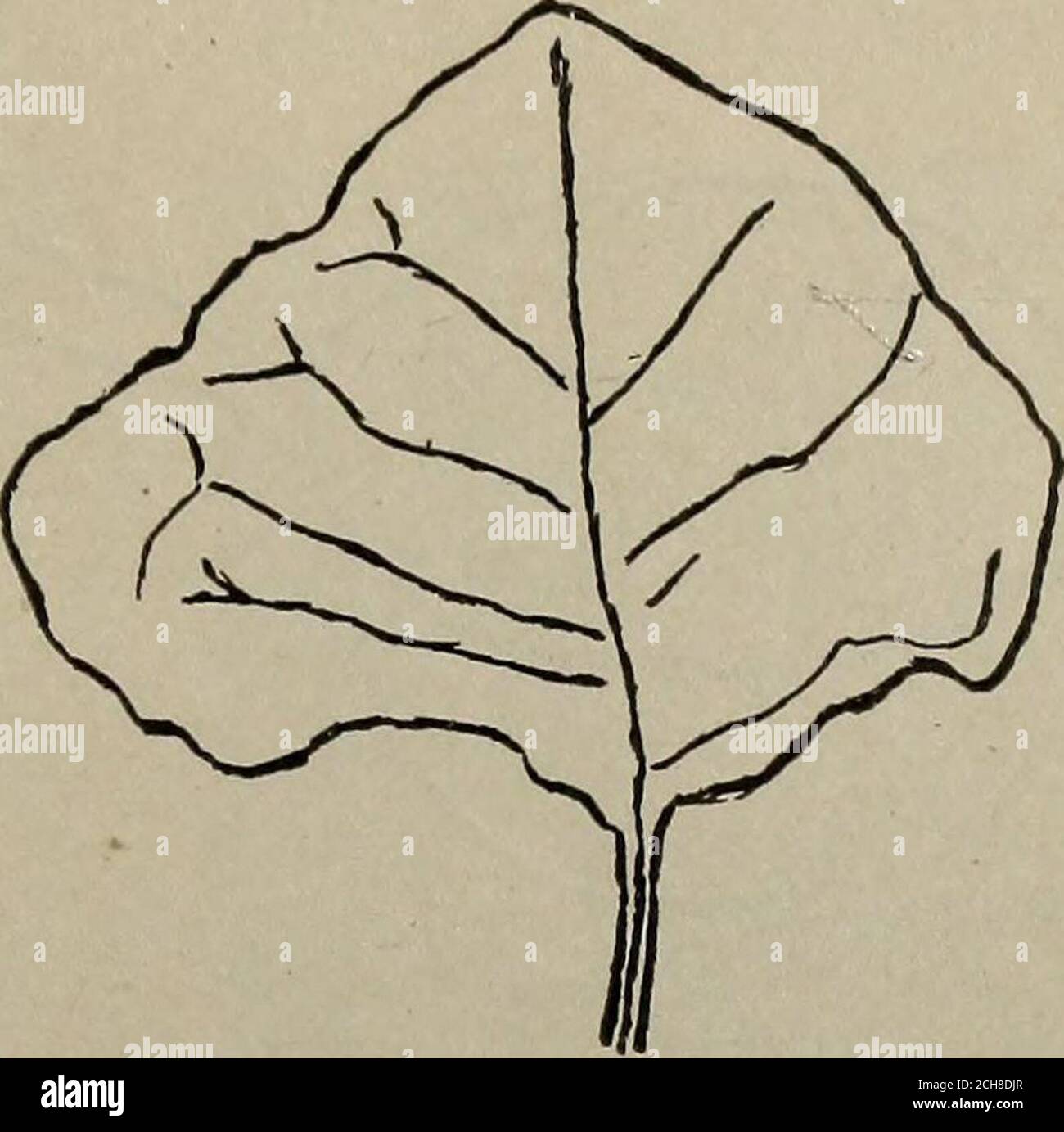 . Drawing and painting self-taught Stock Photo - Alamy