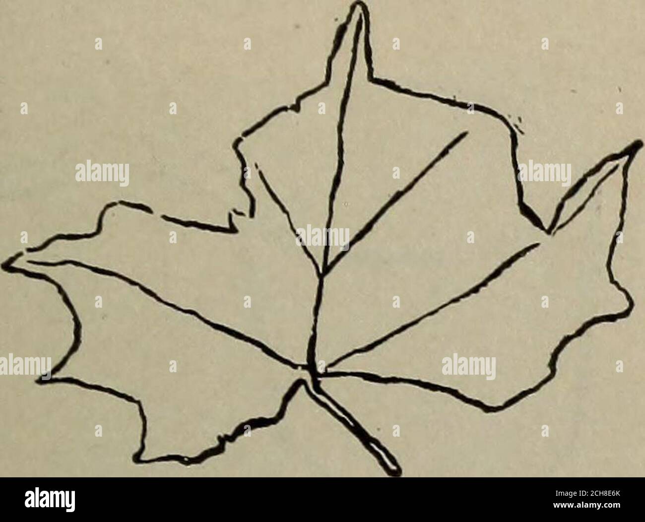 Self examination model hi-res stock photography and images - Alamy