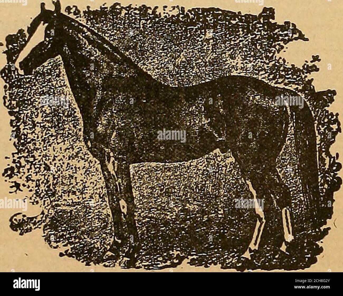 Mark hume hi-res stock photography and images - Alamy