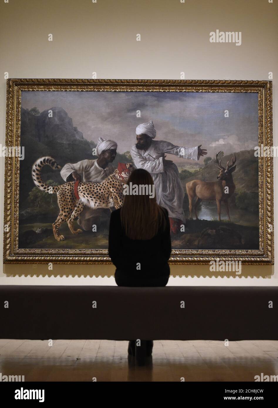 George stubbs cheetah hi-res stock photography and images - Alamy