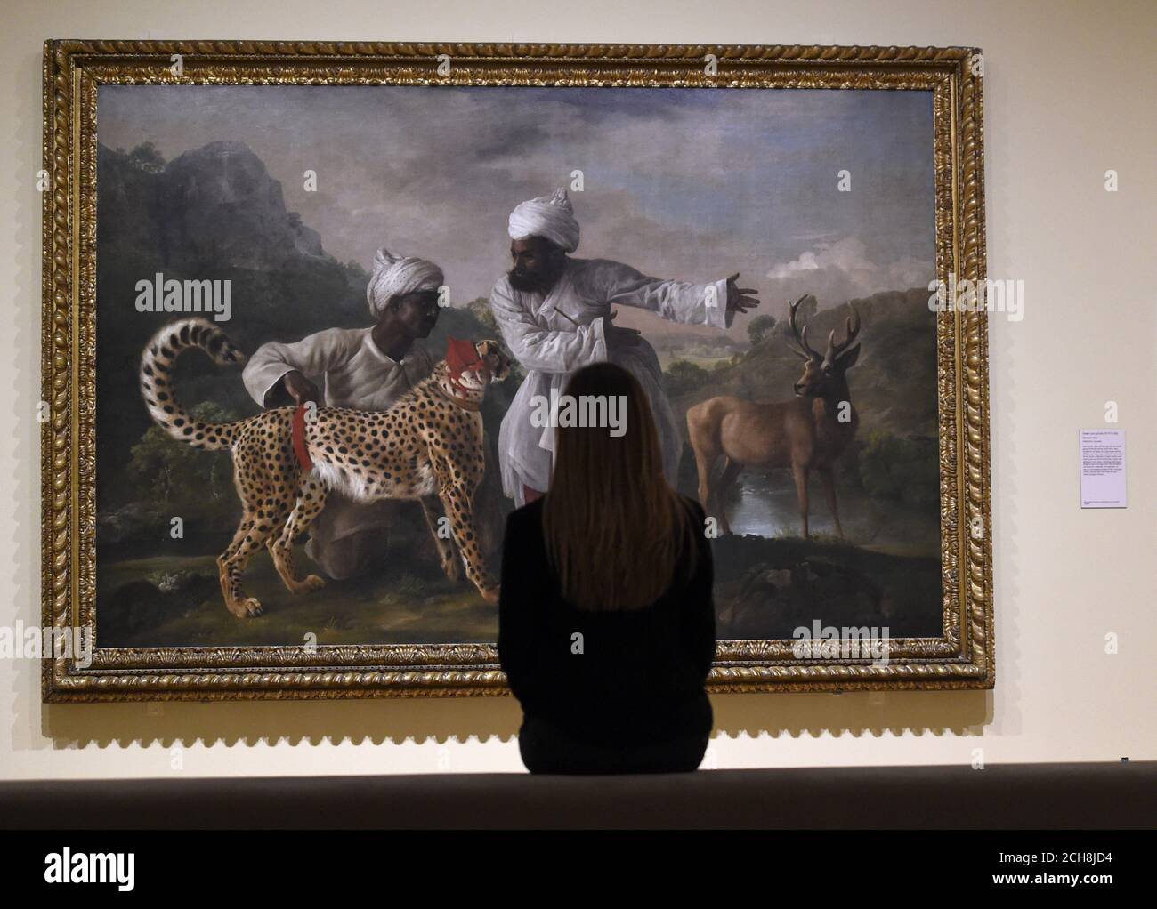 A member of staff observes George Stubbs' 'A Cheetah and a Stag with ...