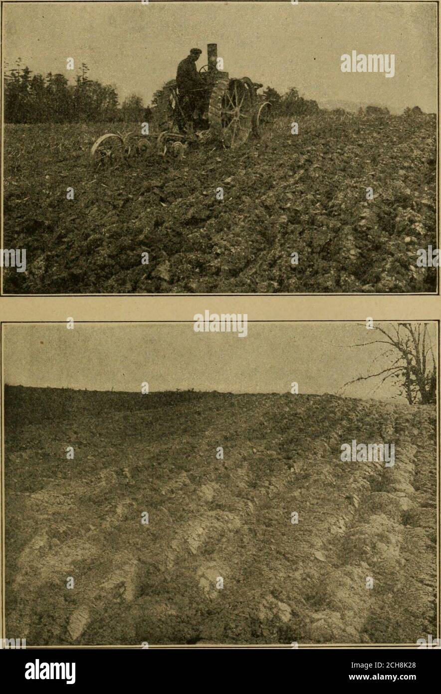 . Soils and fertilizers . ecting a granularstructure. This it does by ...