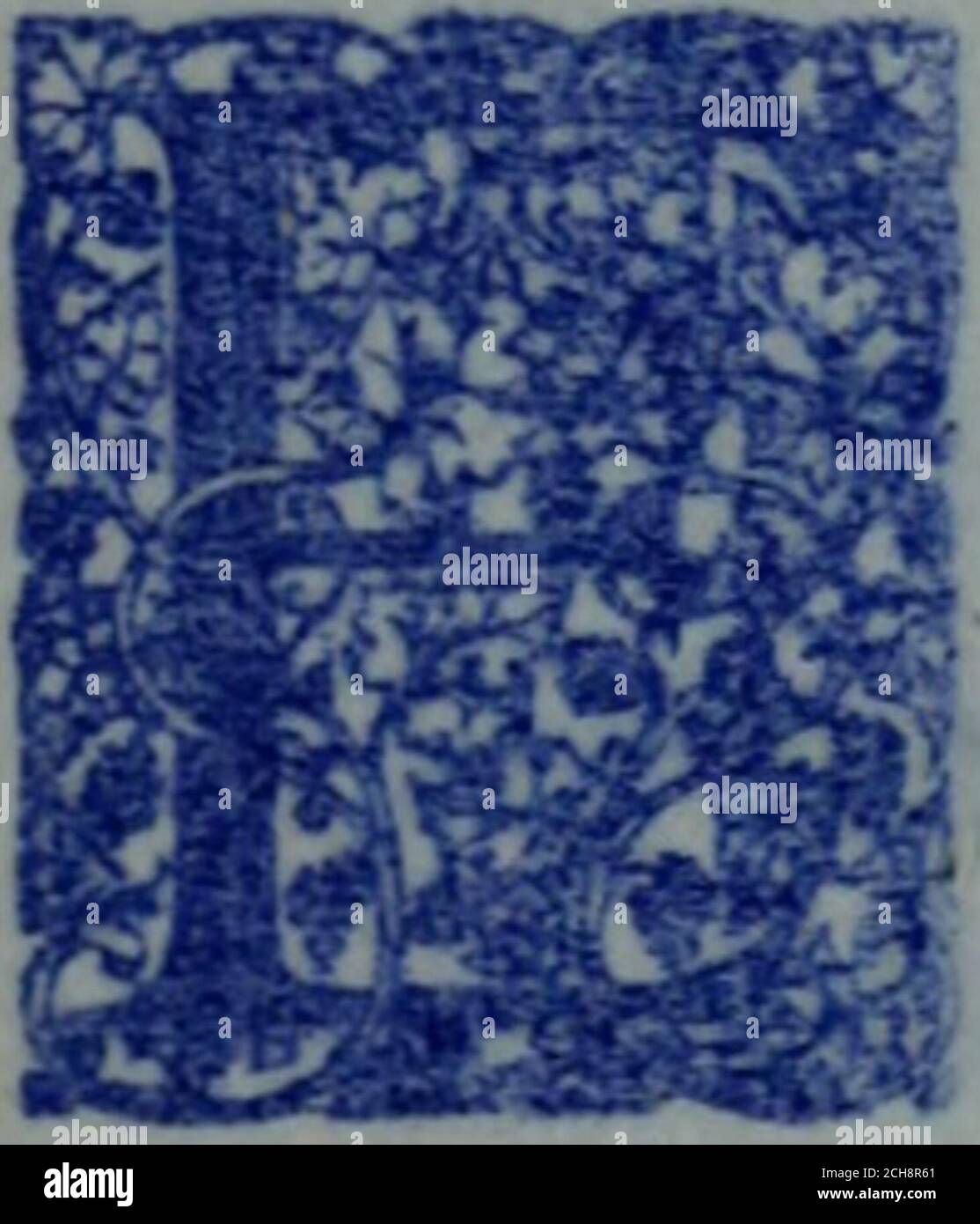 Paloma muerta hi-res stock photography and images - Alamy