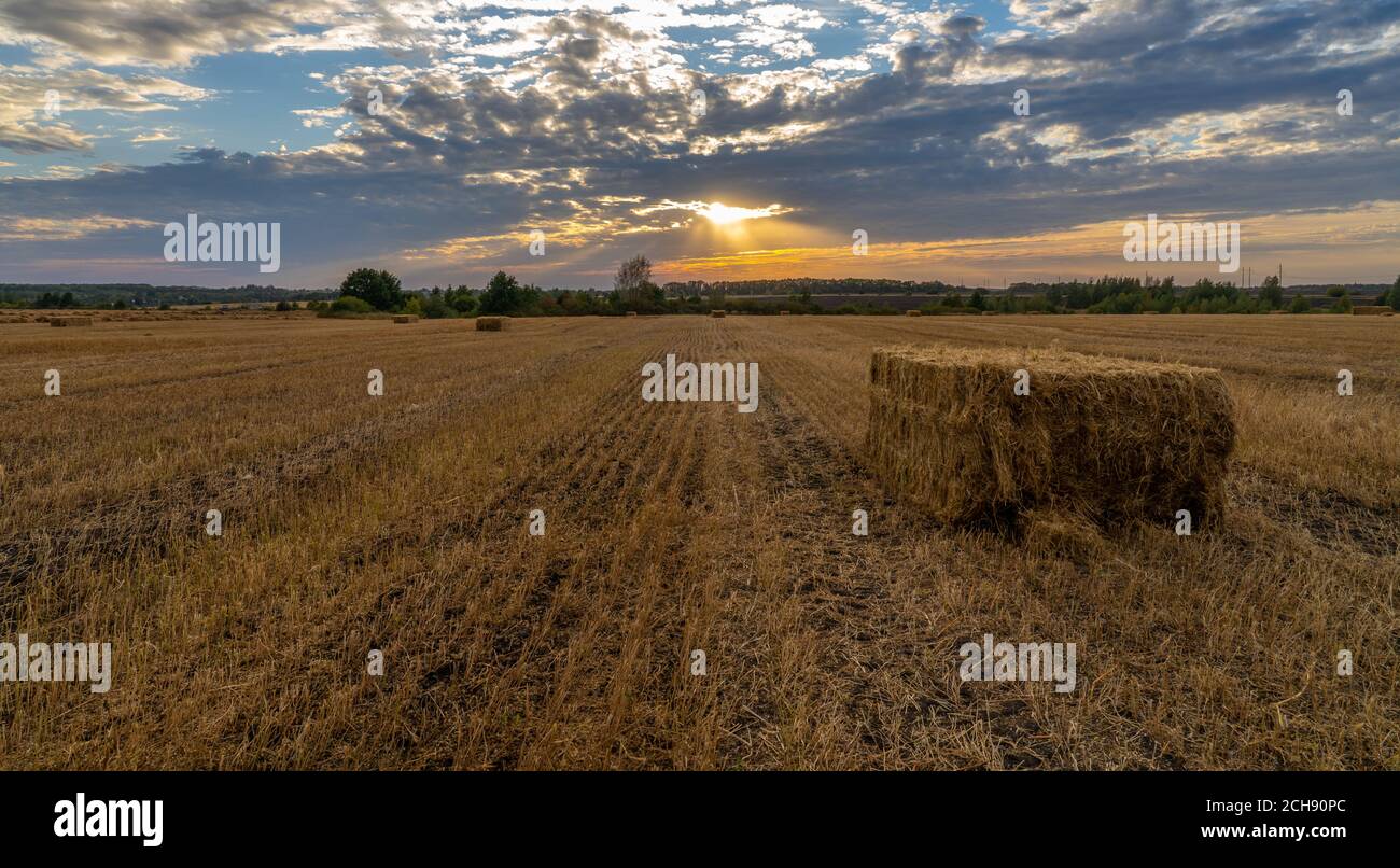 Beautiful sunset over field hay hi-res stock photography and images - Alamy