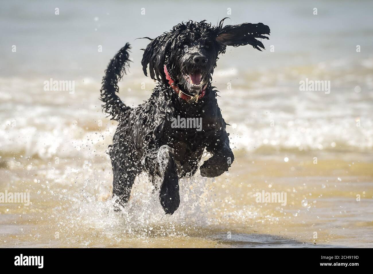 Blue 3 hi-res stock photography and images - Alamy