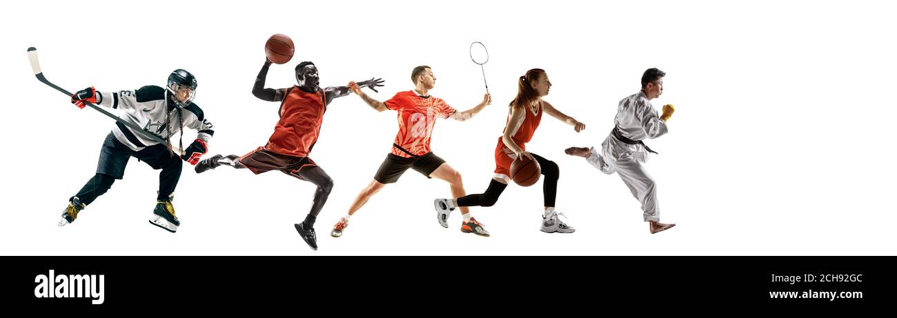 Sport collage of professional athletes or players isolated on white ...