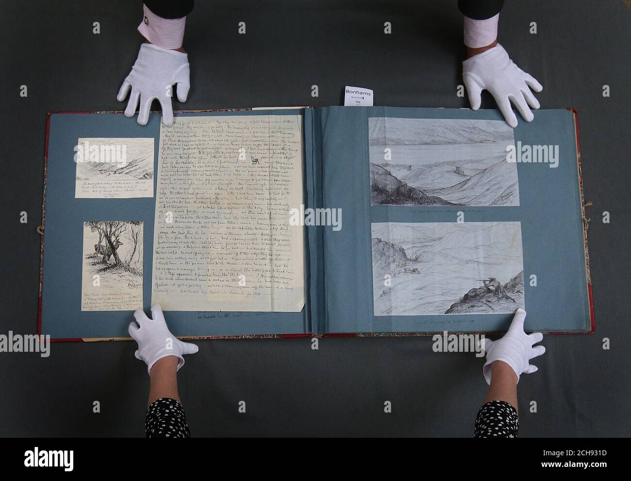 The Stalking Journal of Major General Henry Hope Crealock valued at £ ...