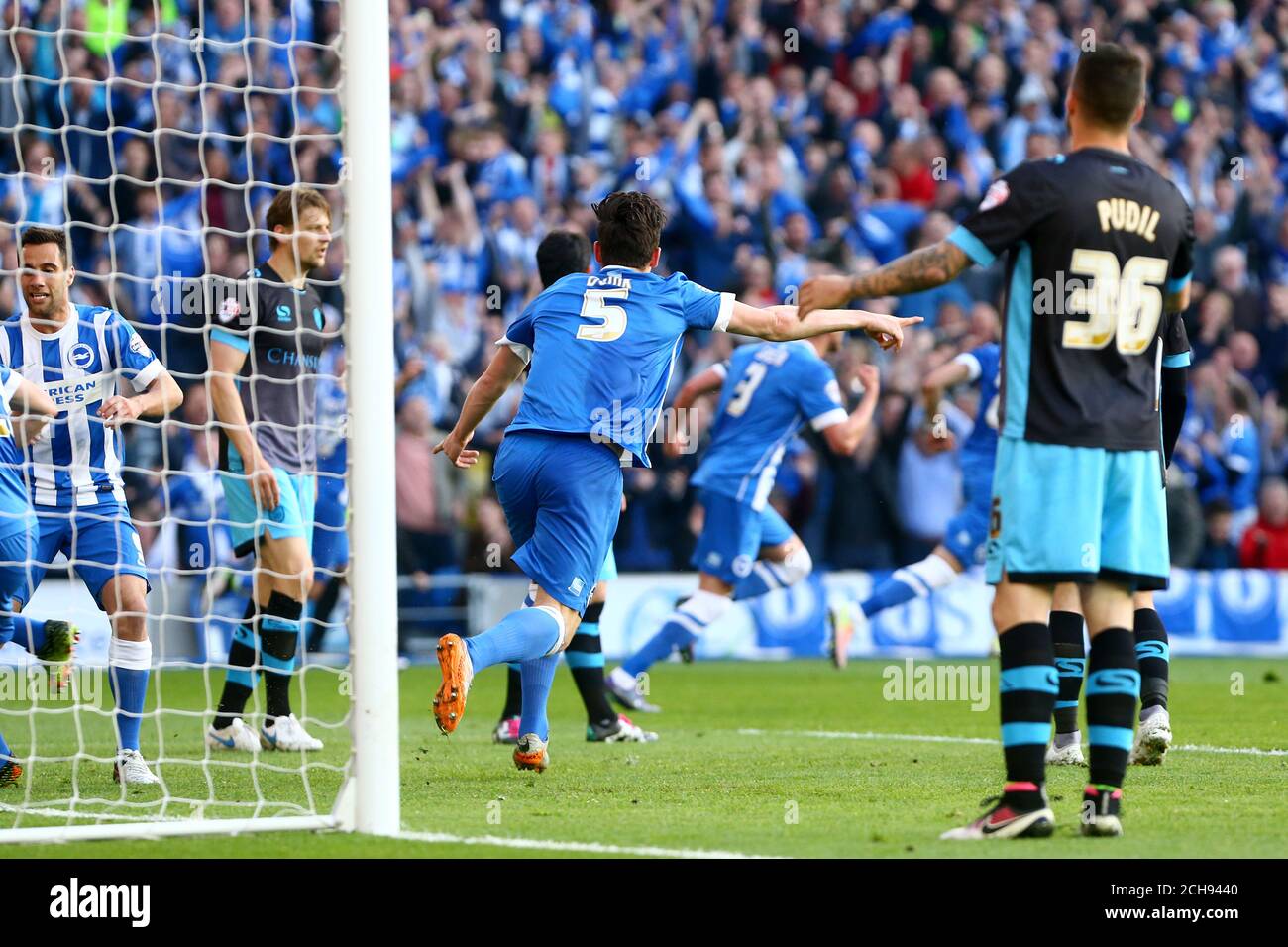 Lewis dunk celebrating hi-res stock photography and images - Alamy
