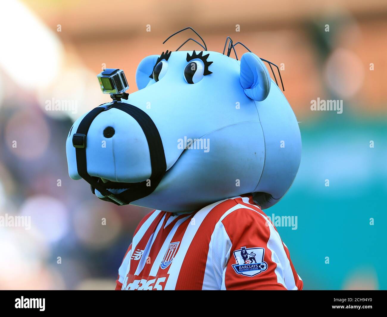 Stoke city mascot pottermus hippo hi-res stock photography and images ...