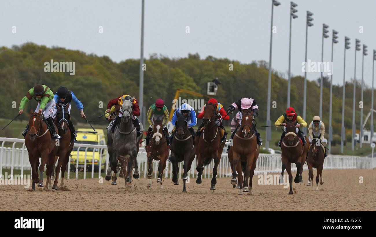 Tapeta racecourse hi-res stock photography and images - Alamy