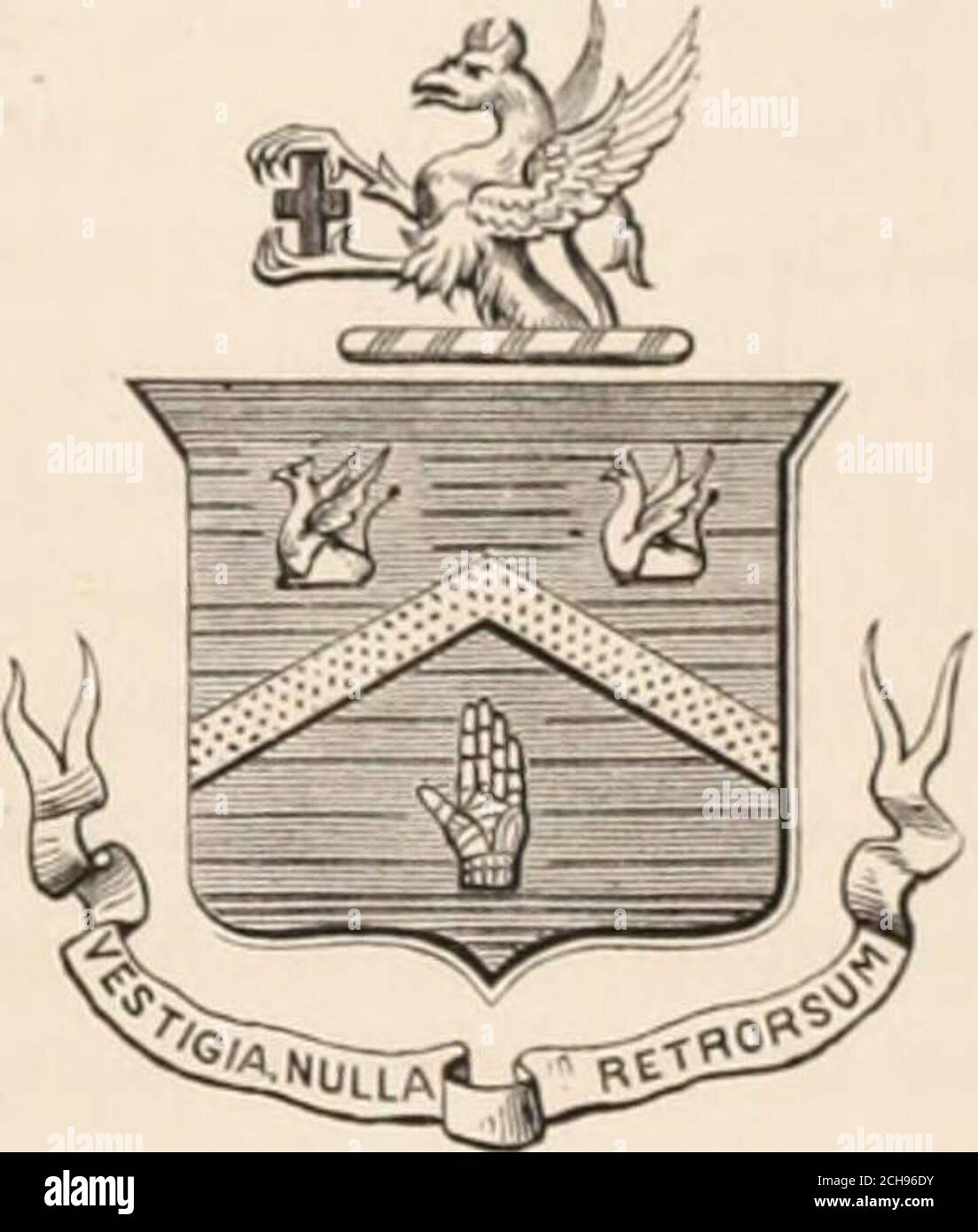 Stark Family Crest Scottish