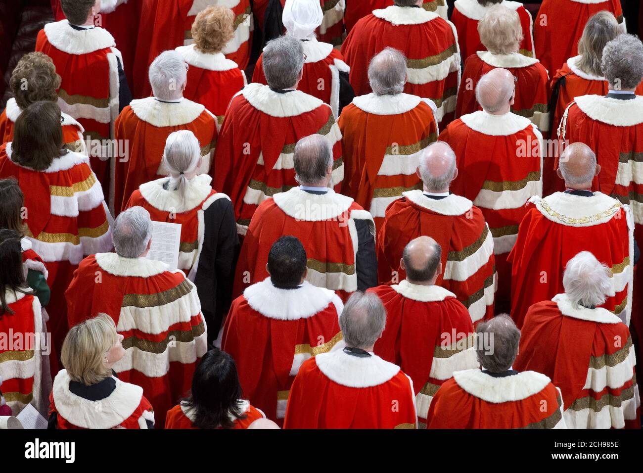 Members of the House of Lords during the State Opening of Parliament ...