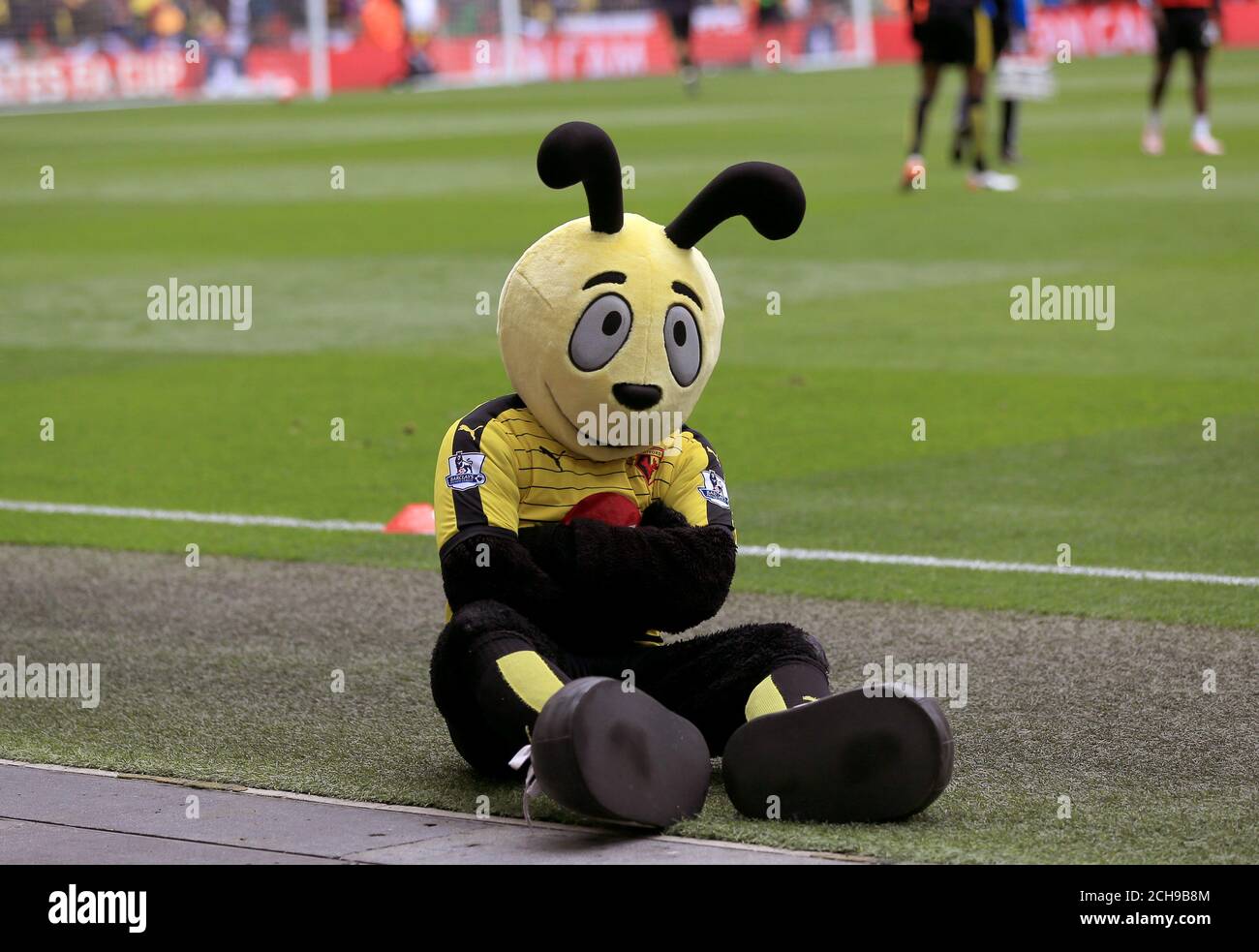 Watford club mascot Harry the Hornet Stock Photo - Alamy