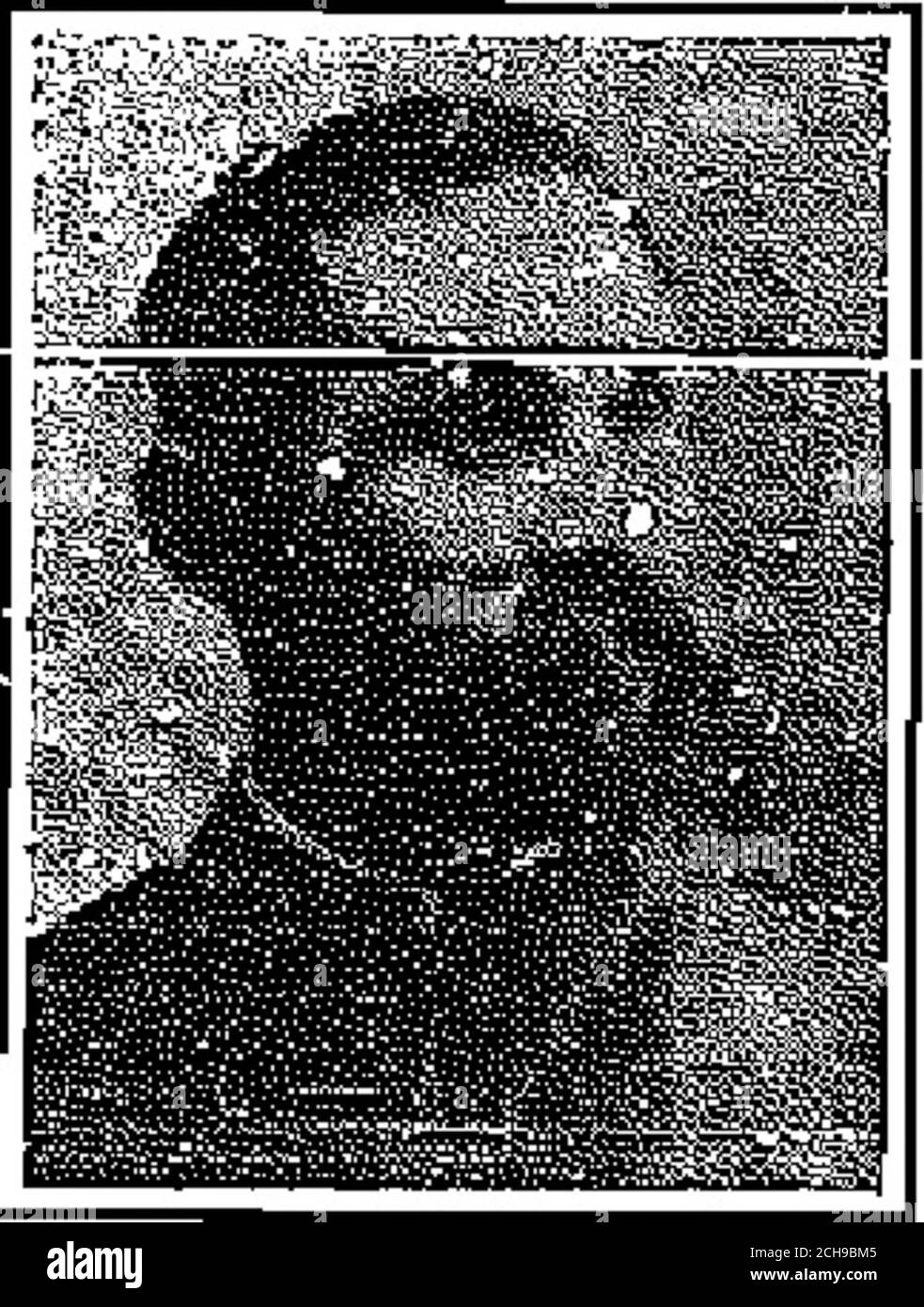 James whelan Black and White Stock Photos & Images - Alamy