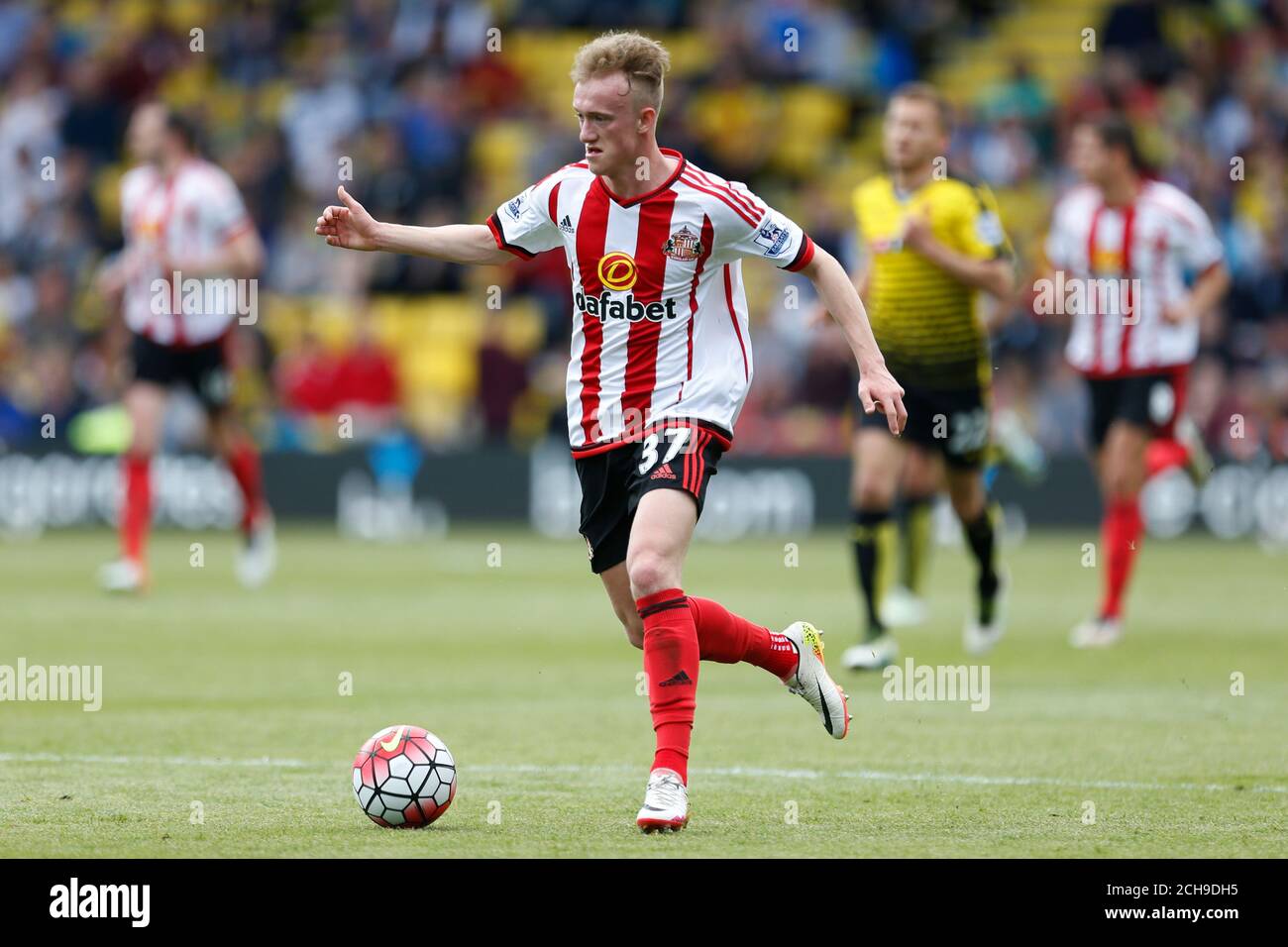 Rees greenwood hi-res stock photography and images - Alamy