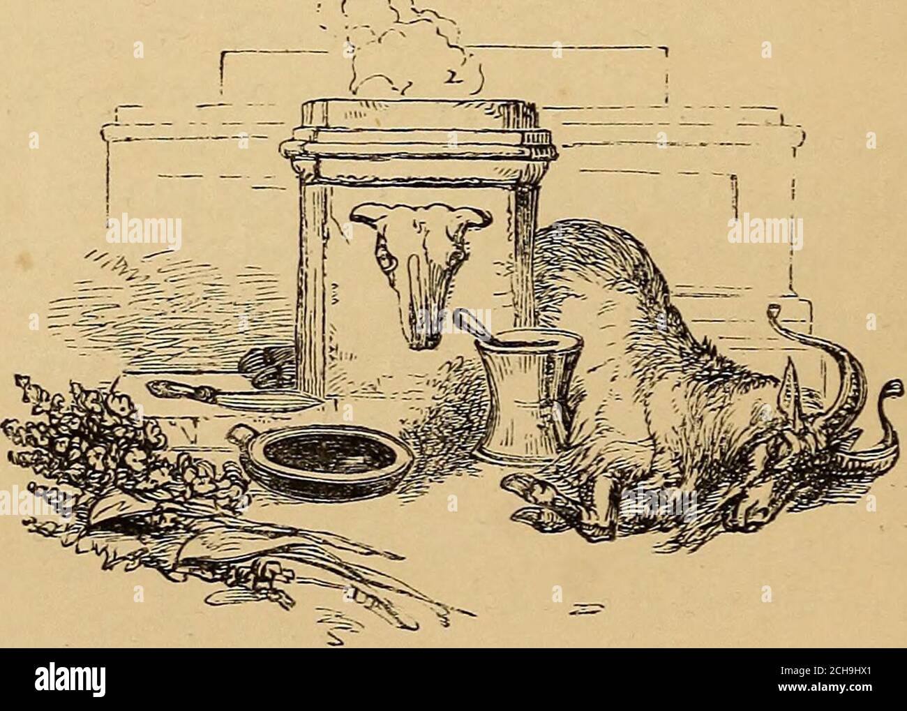 Vomit blood hi-res stock photography and images - Alamy