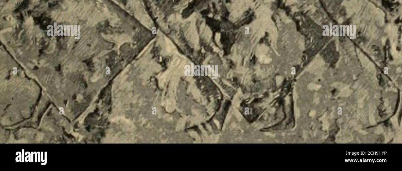 . The dawn of civilization: Egypt and Chaldaea . 0W5 -t 1 ^(Mm v&^Cpï ...