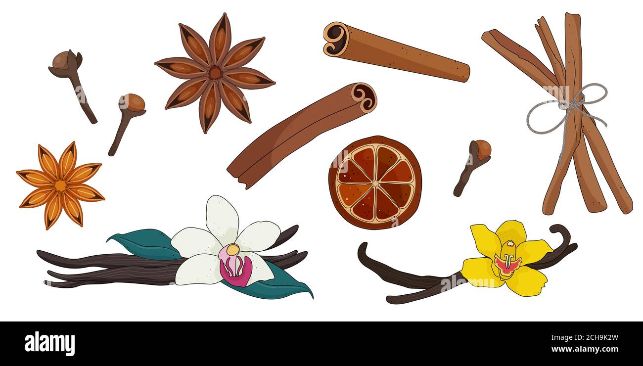 Winter spices christmas Stock Vector Images - Alamy