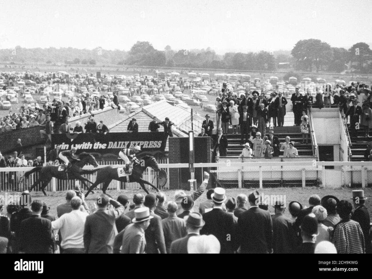 Sir ivor horse hi-res stock photography and images - Alamy