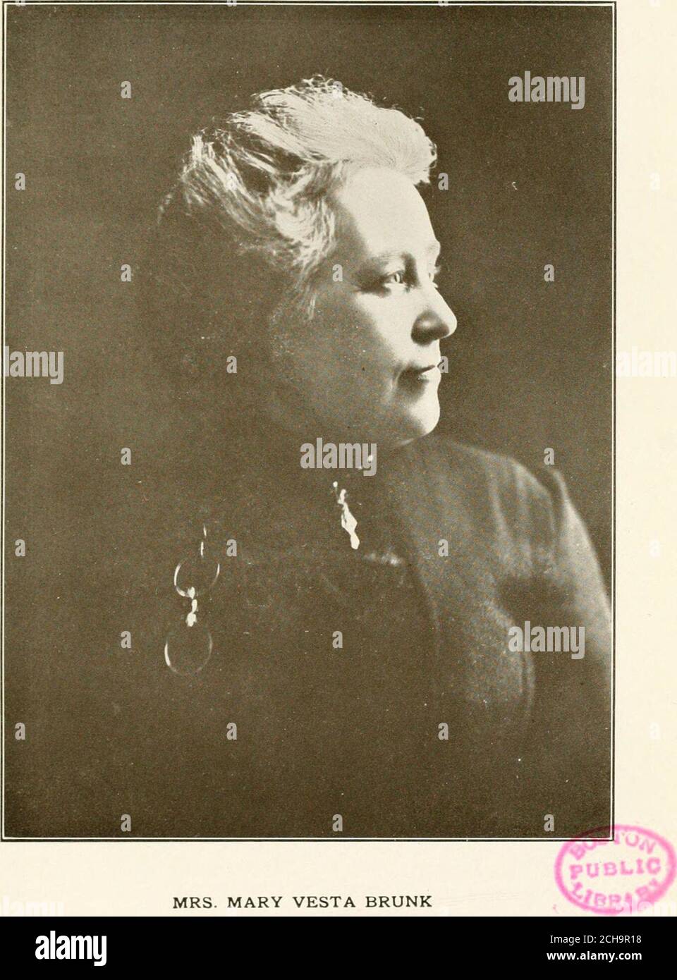 . History of Robert Chaffin and his descendants, and of the other ...