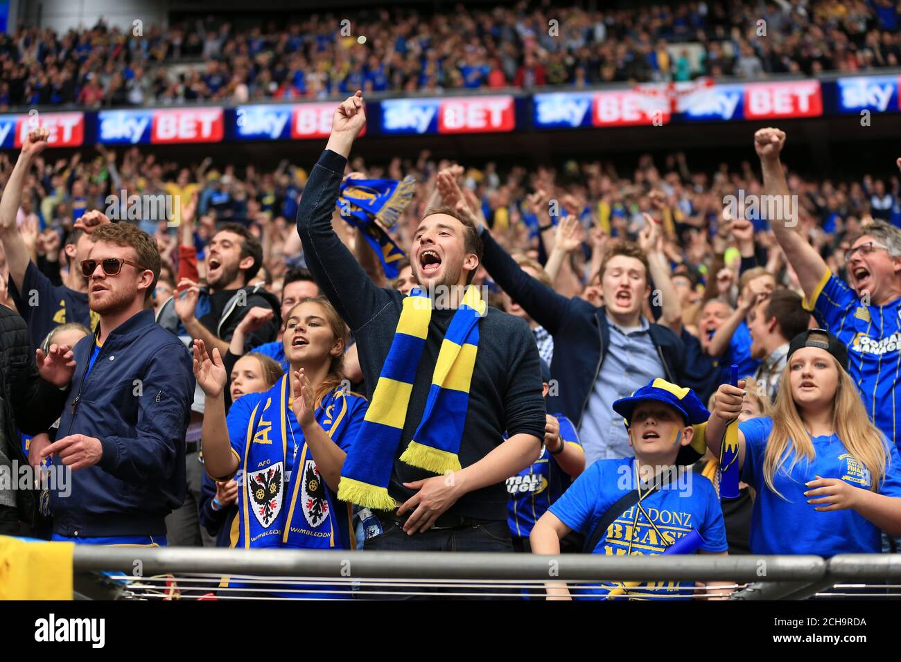AFC Wimbledon fans in the stands at Wembley Stadium Stock Photo - Alamy