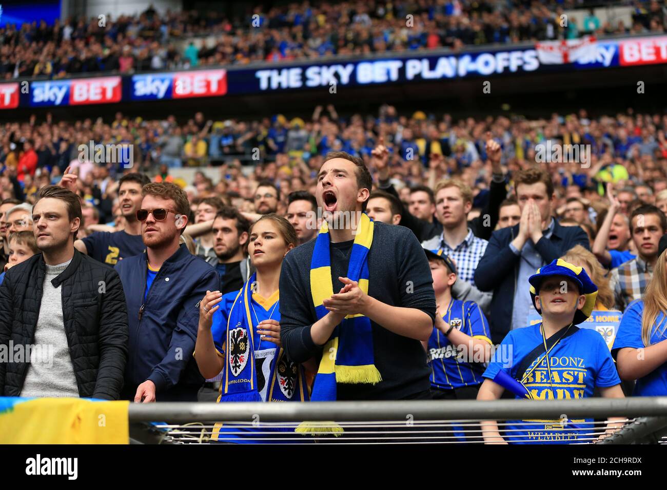 AFC Wimbledon fans in the stands at Wembley Stadium Stock Photo - Alamy