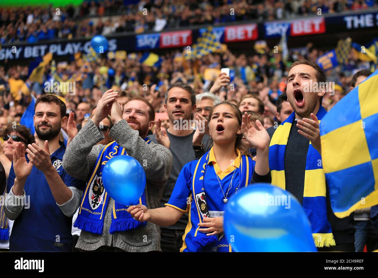 AFC Wimbledon fans in the stands at Wembley Stadium Stock Photo - Alamy