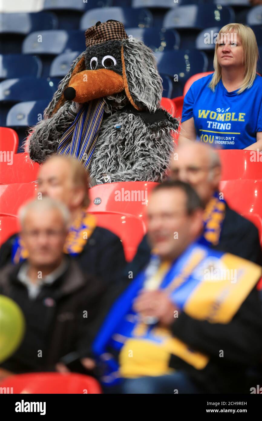 An AFC Wimbledon fan dressed as a womble before the Sky Bet League Two ...