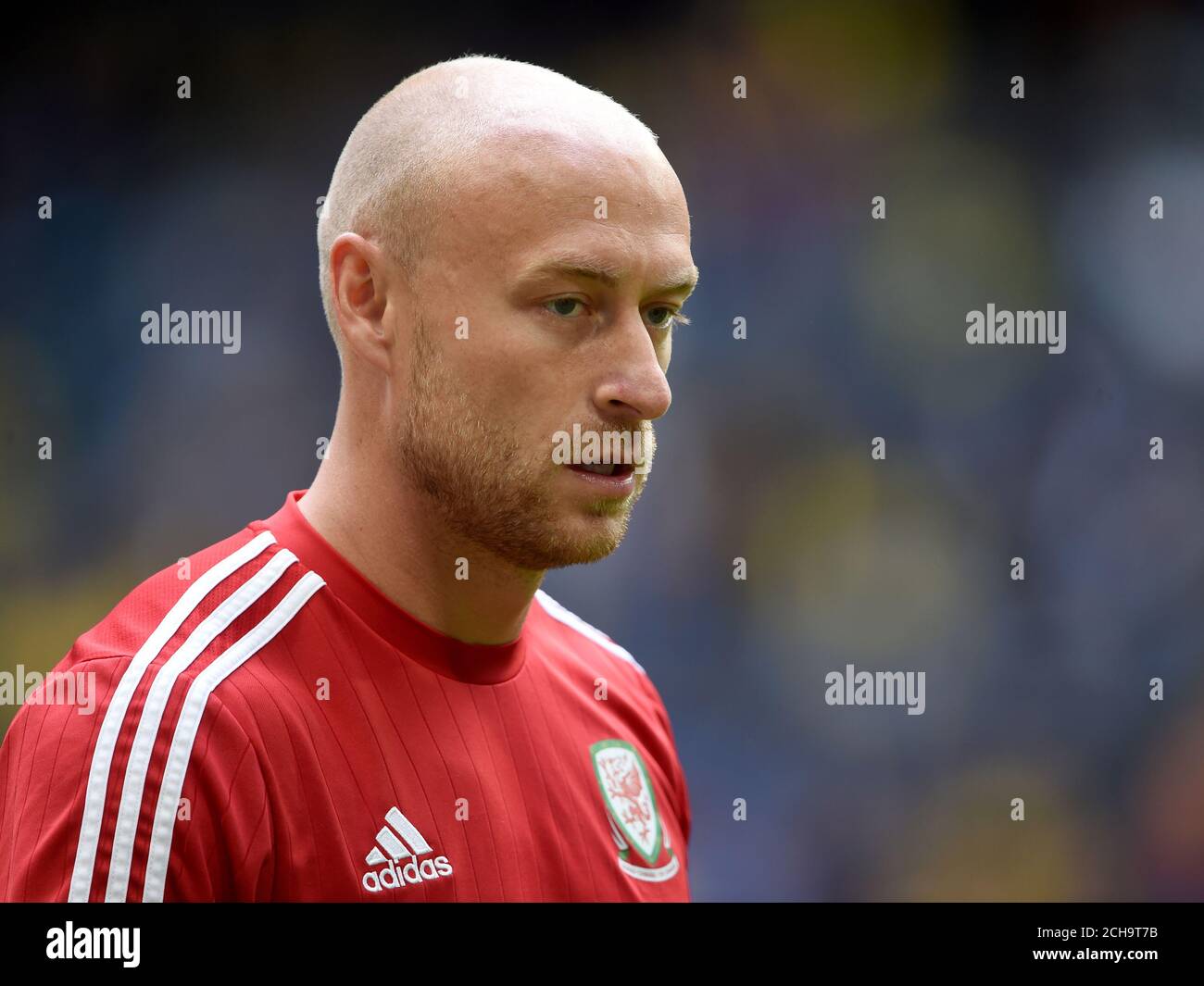 Wales' David Cotterill during the International Friendly match at the ...