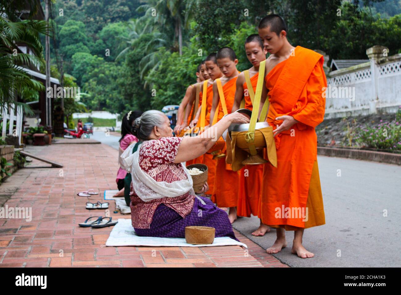 Giving of the alms - Early morning locals giving alms to the monks in ...