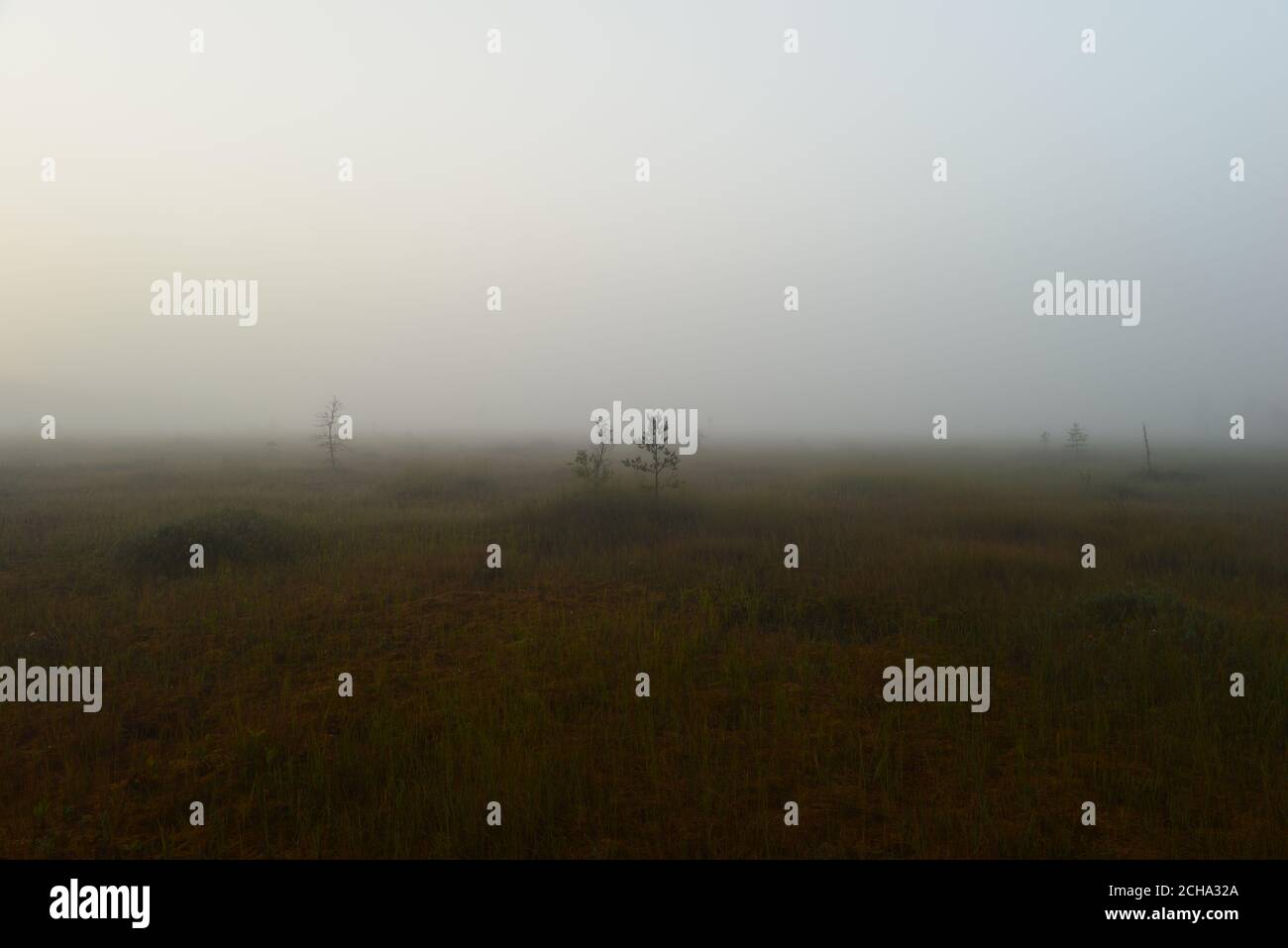 Swamp fog hi-res stock photography and images - Alamy
