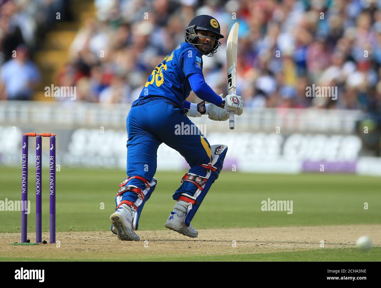 Sri Lanka's Dinesh Chandimal Stock Photo - Alamy