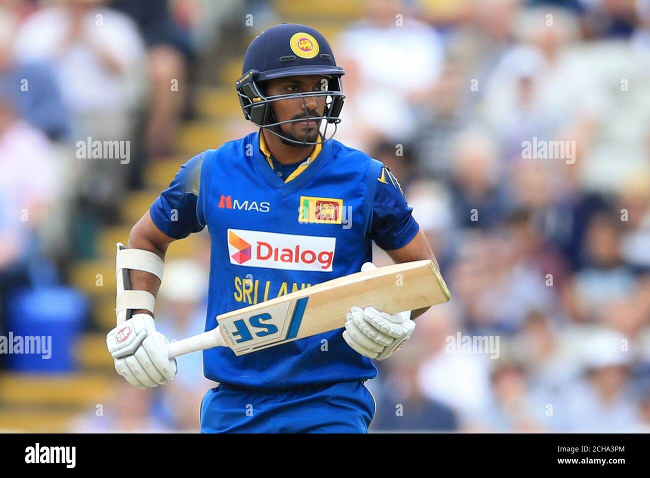 Sri Lanka's Danushka Gunathilaka Stock Photo - Alamy