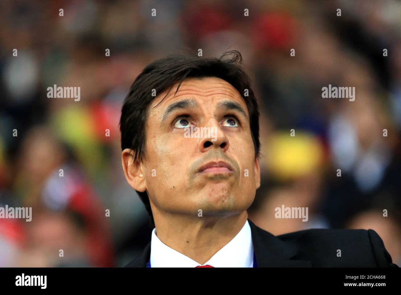 Wales manager Chris Coleman Stock Photo - Alamy