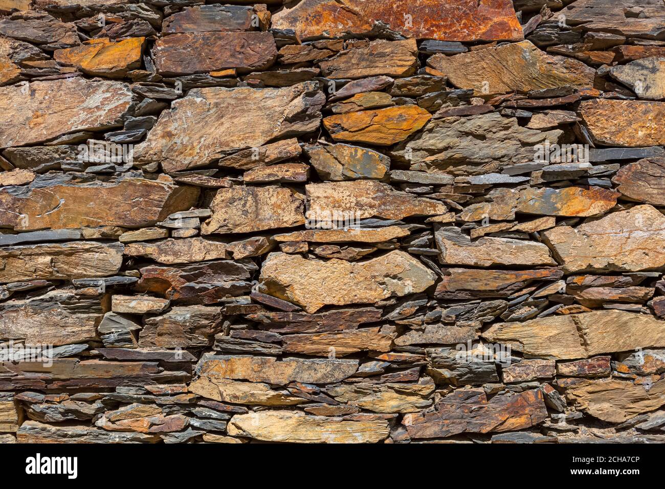 Schist Texture