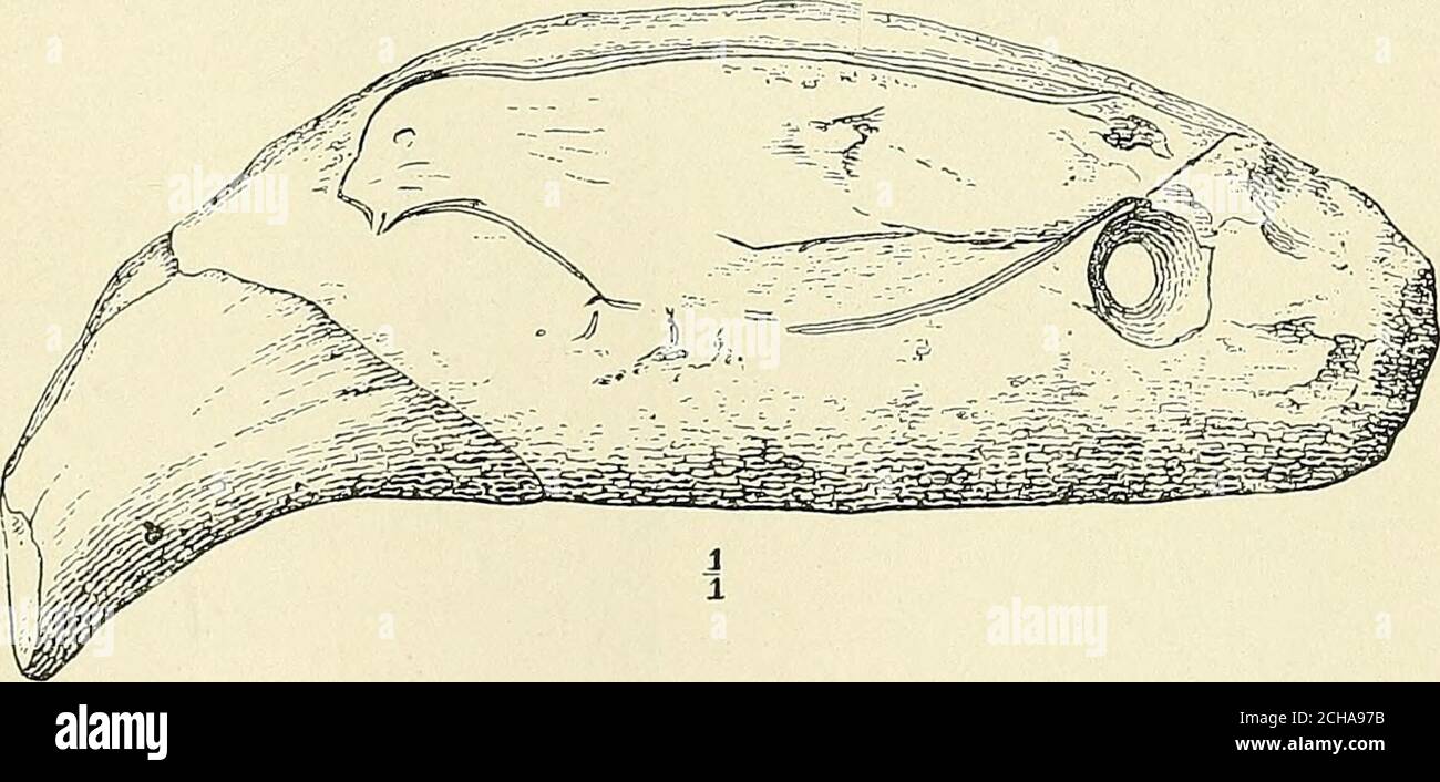 . Annual report of the Board of Regents of the Smithsonian Institution ...