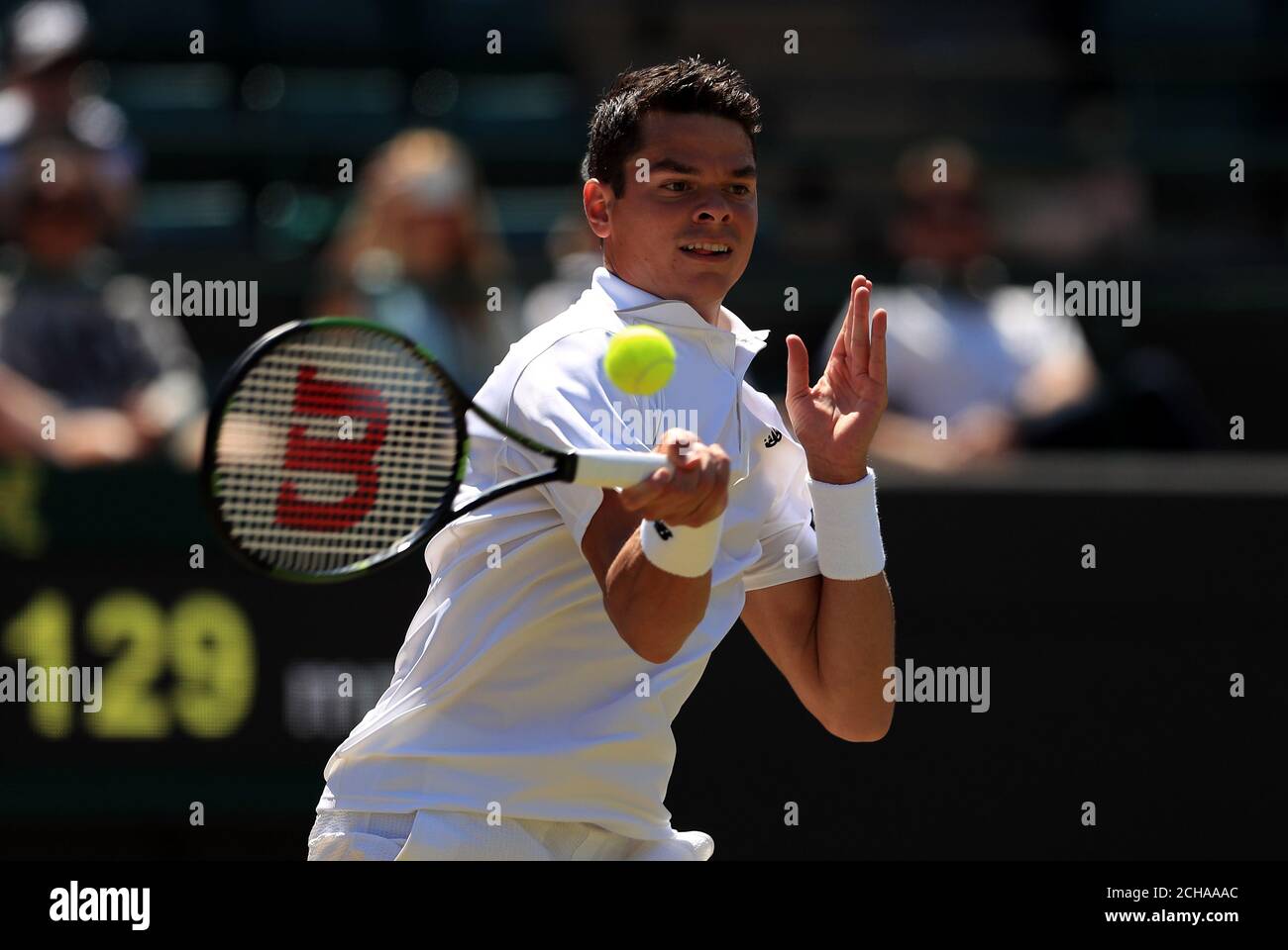 Milos Raonic in action against Sam Querrey on day nine of the Wimbledon ...