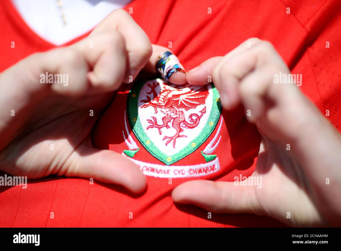 Wales fan Lisa Slack shows her support for her side as she attends day ...