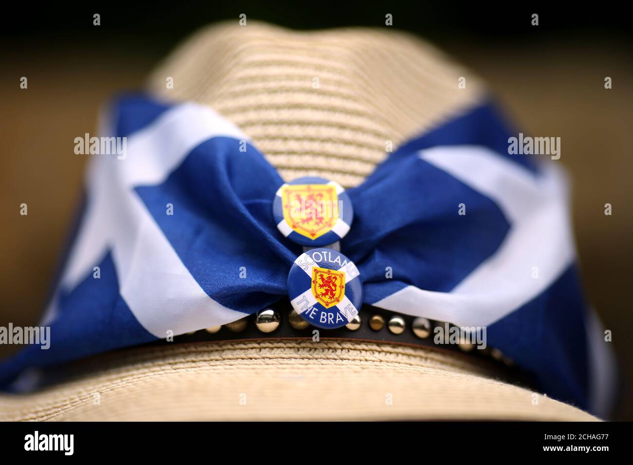 Marion McCluskey from Dundee, Scotland shows her support for Andy ...