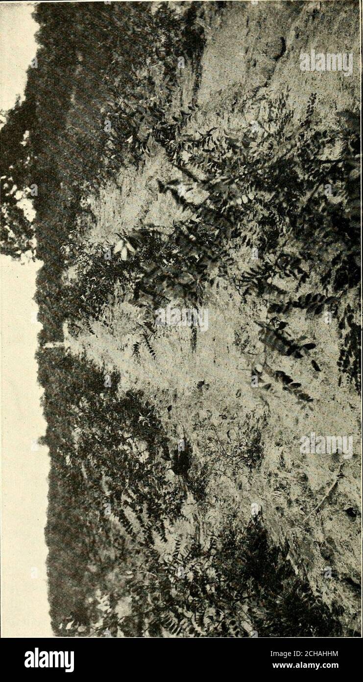 Experimentalstation hi-res stock photography and images - Alamy