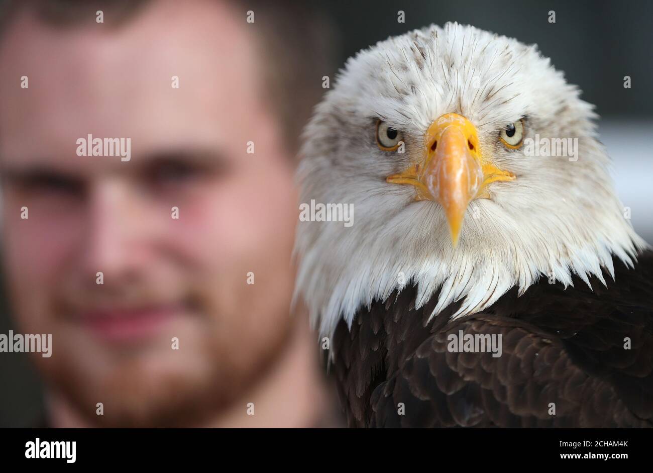 Herman park zoo hi-res stock photography and images - Alamy