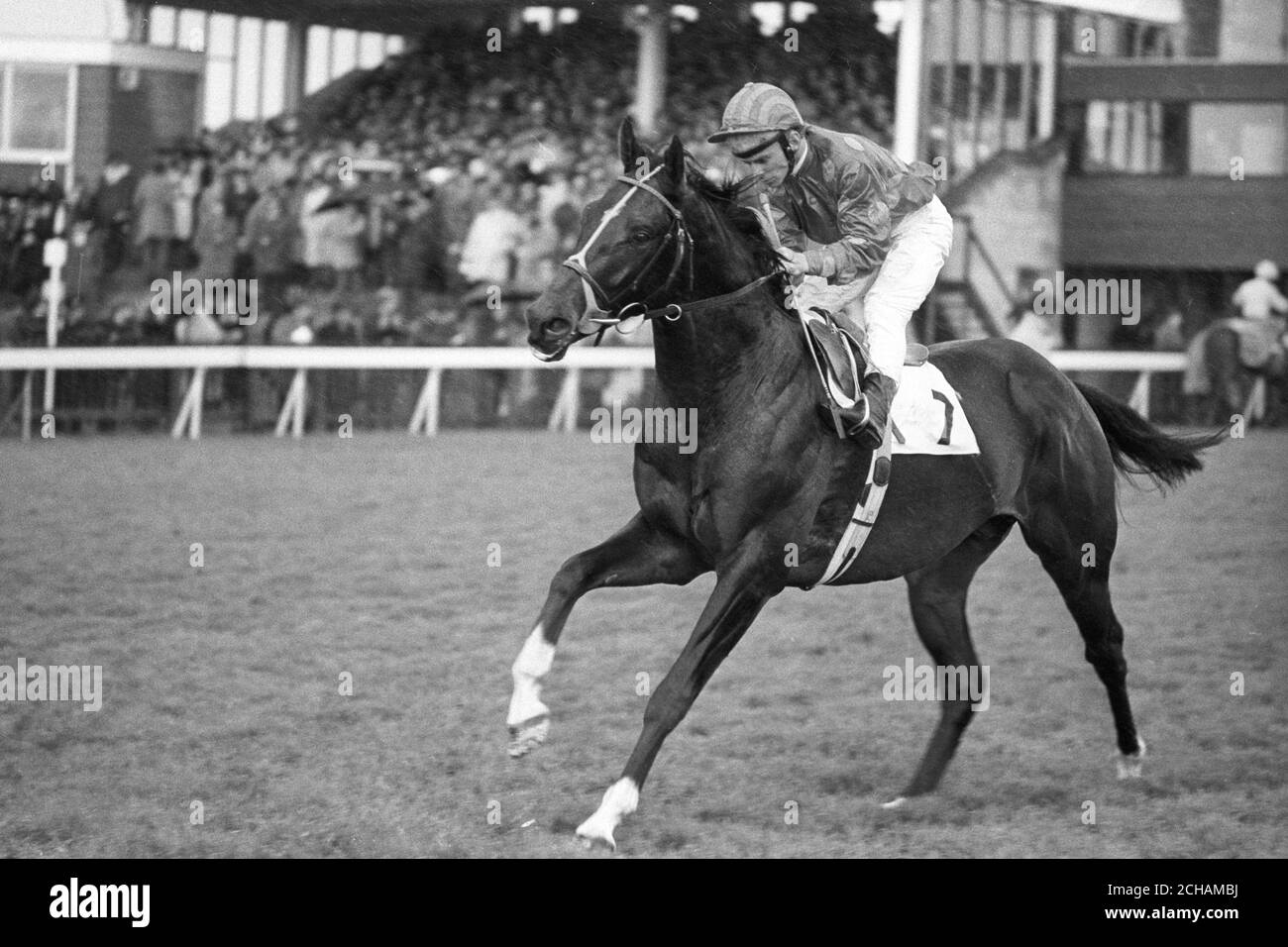 High Top, winner of the recent 2,000 Guineas at Newmarket, will be out ...