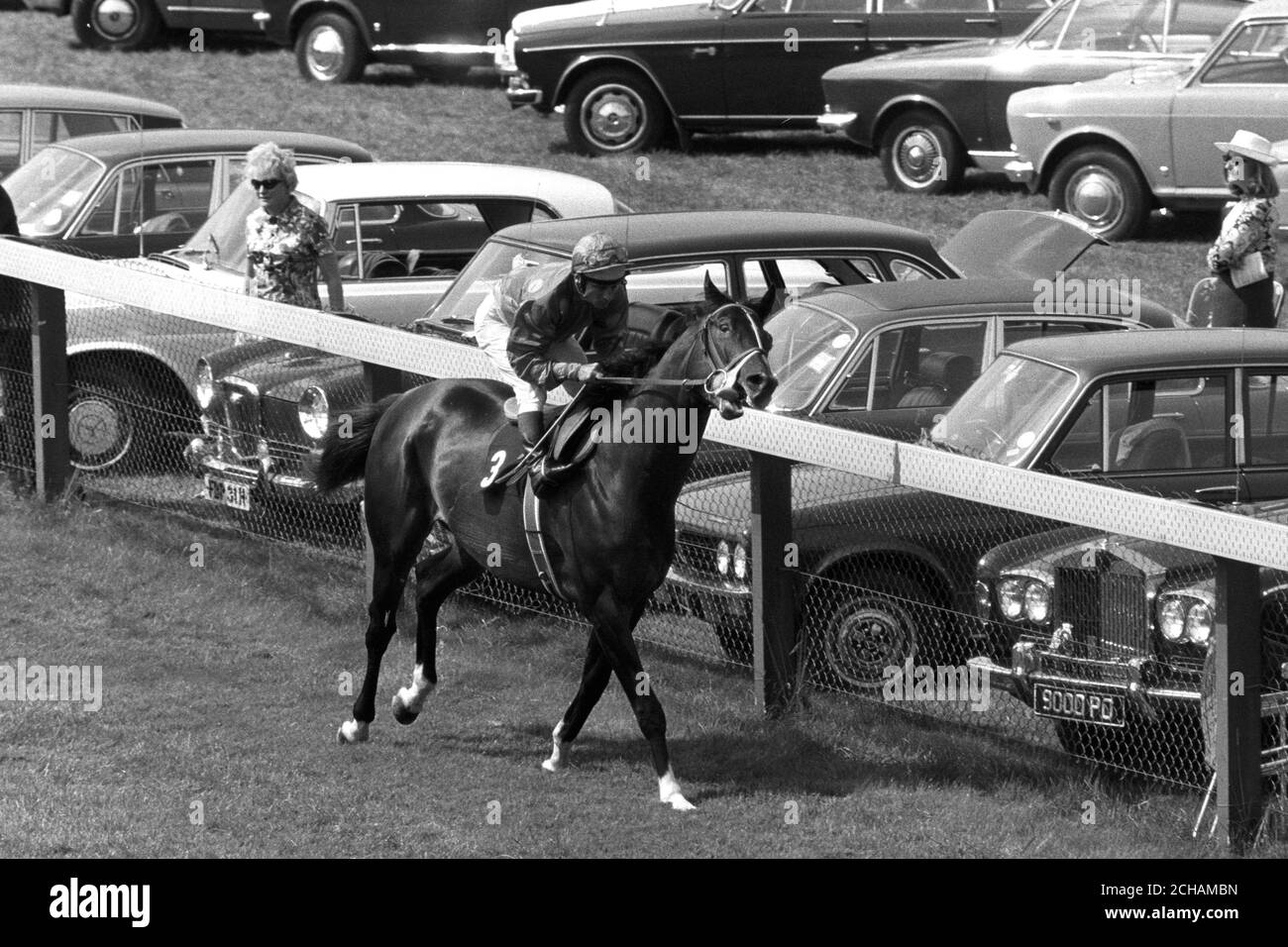 Sir Jules Thorn's three-year-old racehorse High Top seen at Goodwood ...
