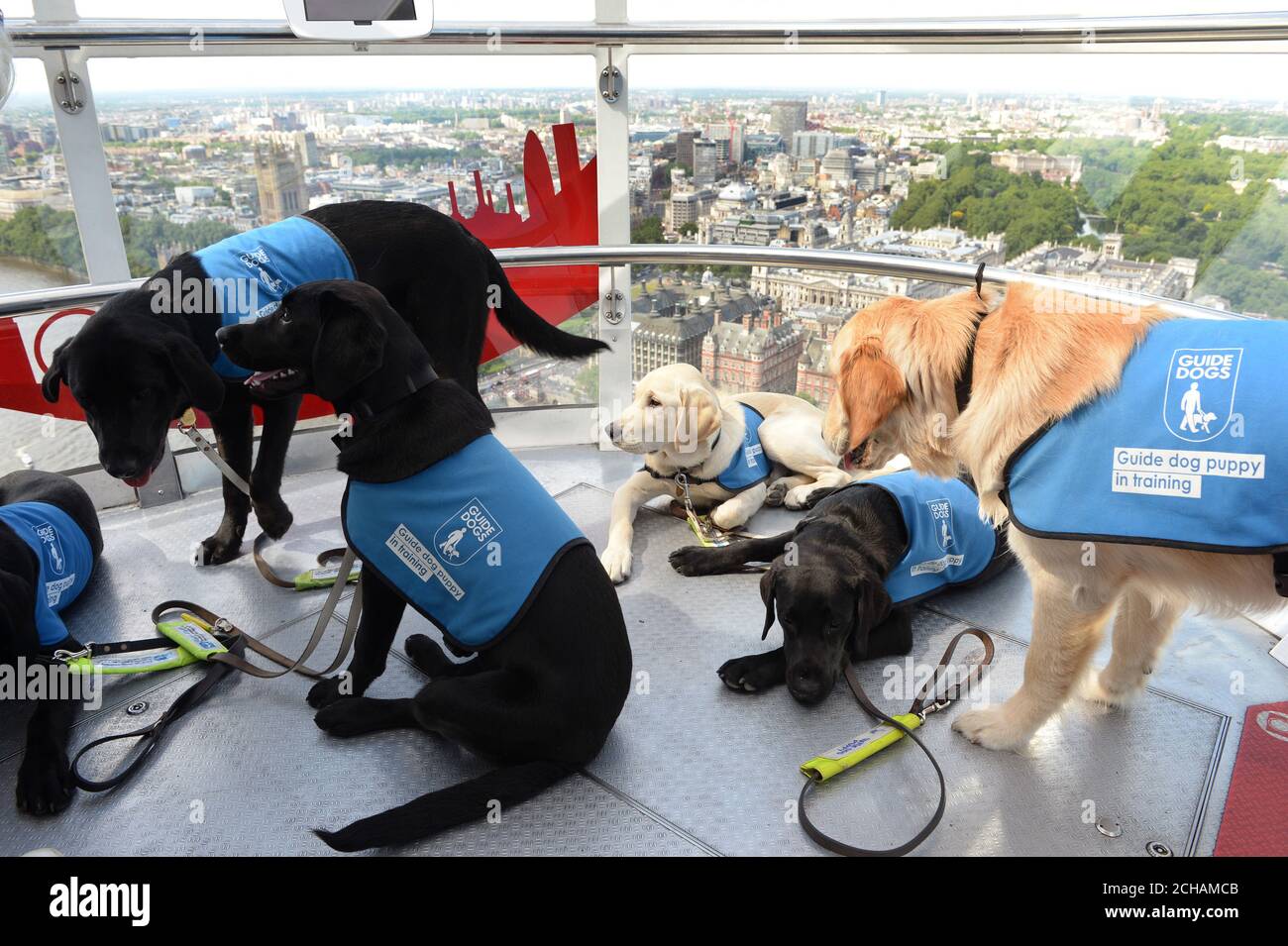 Volunteers from the Medway branch of Guide Dogs for the Blind taking a ...