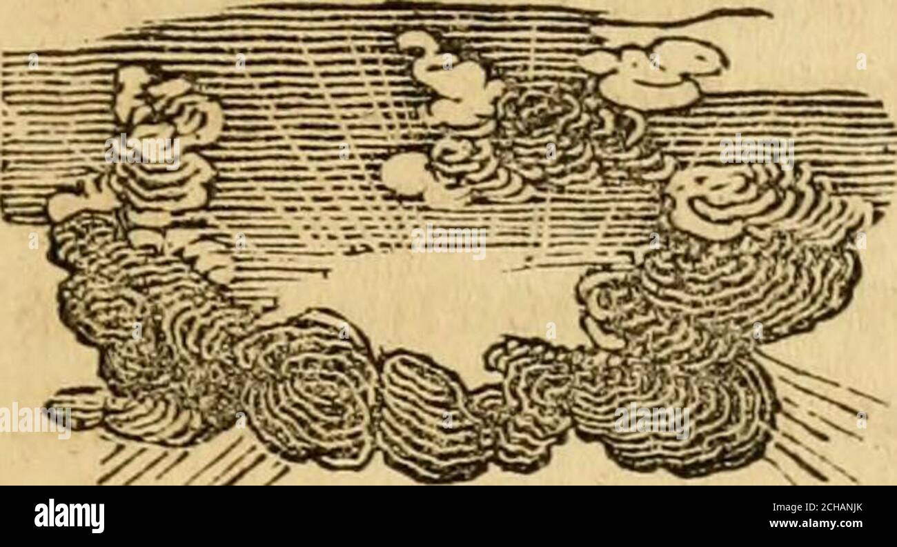 Ten horns hi-res stock photography and images - Alamy